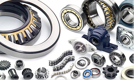 CanAsia Trading - Products & Services